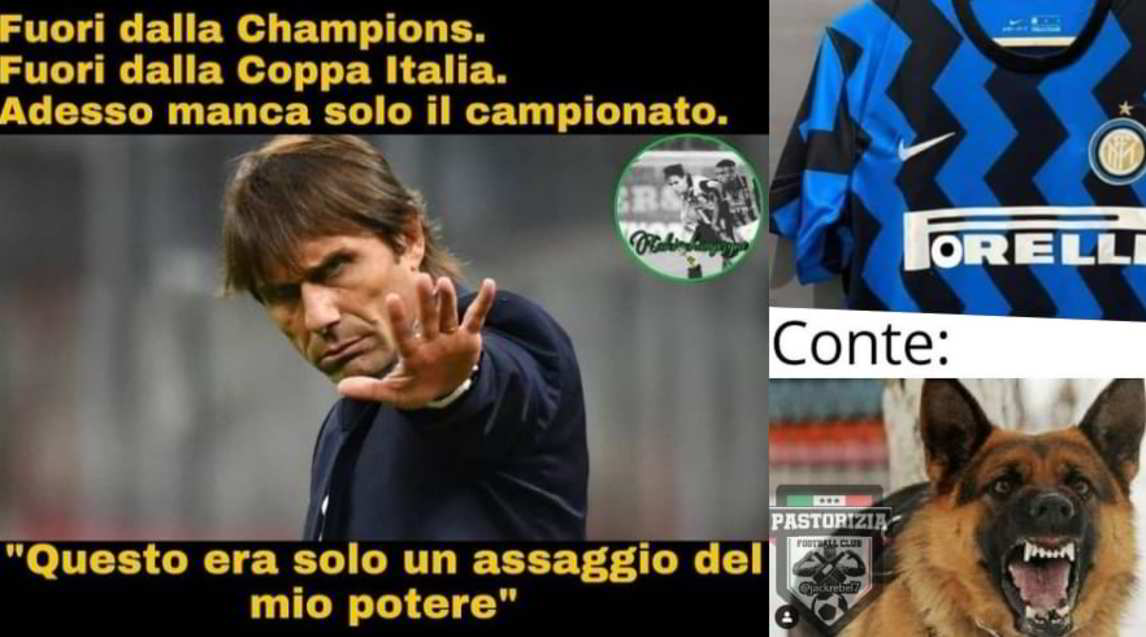 Fenomenologia del coglione