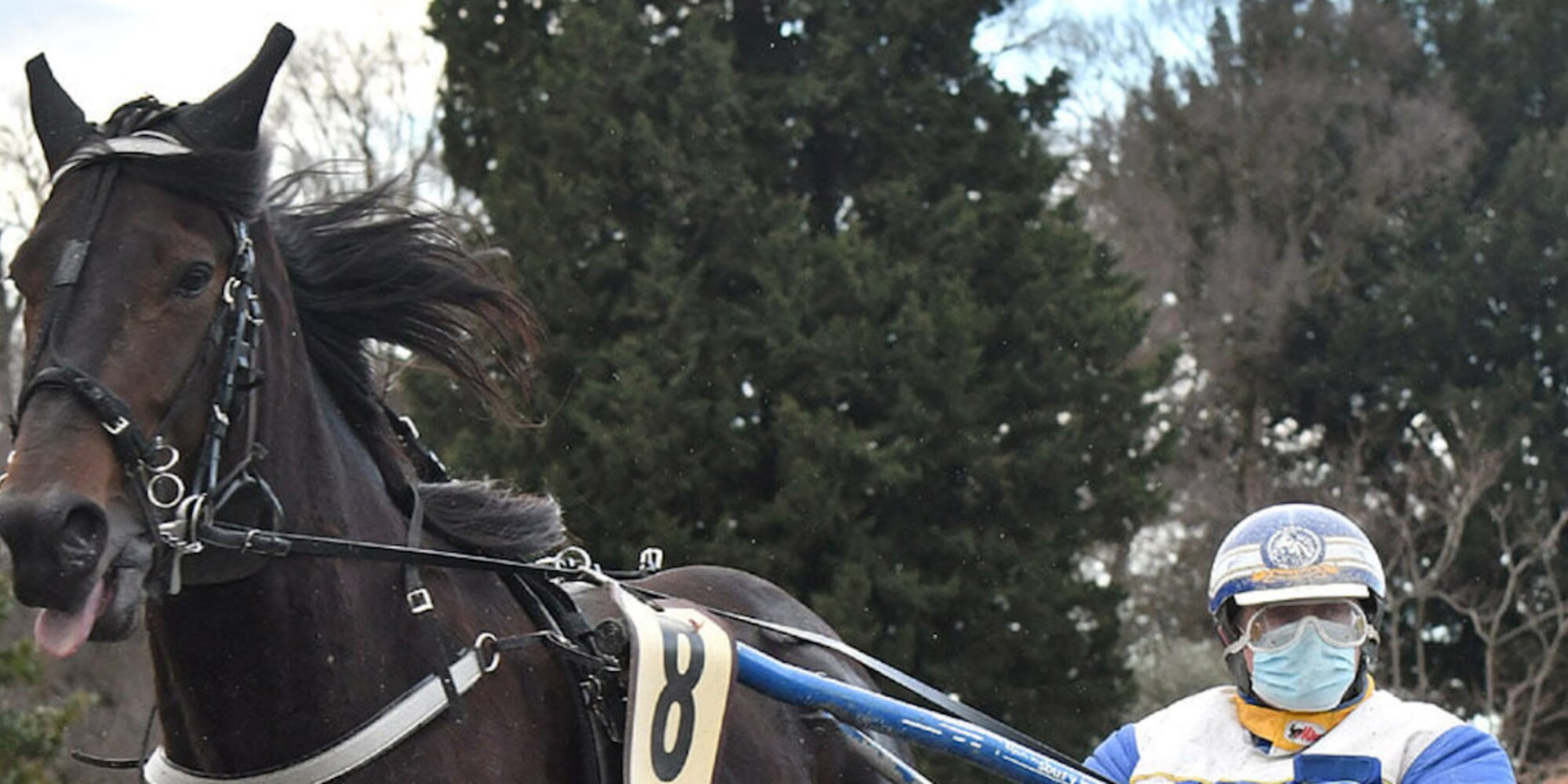 Due mesi senza Zacon Gio