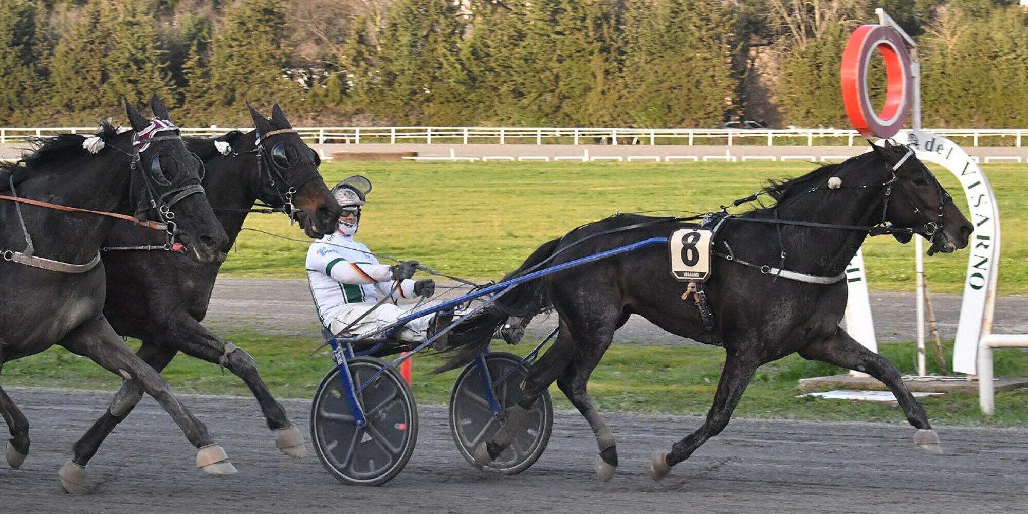 Zacon Gio riparte da Padova