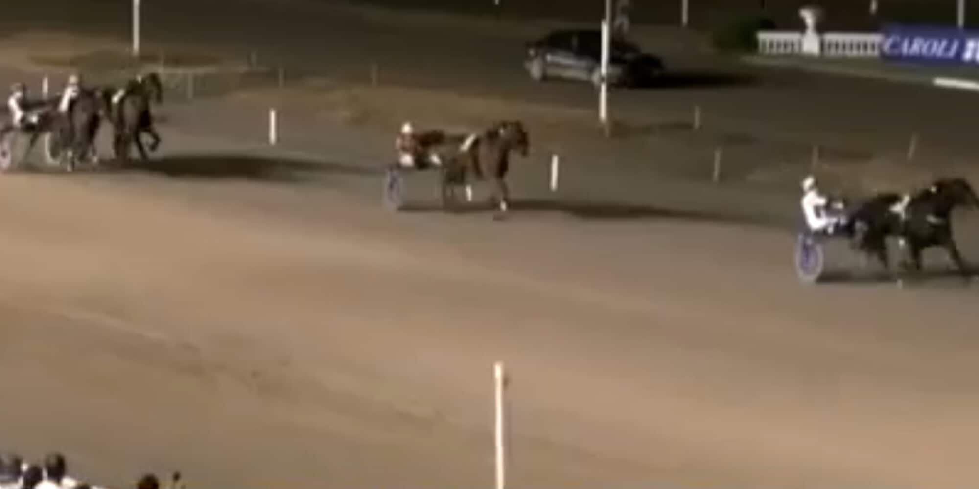 Zacon Gio se la spassa