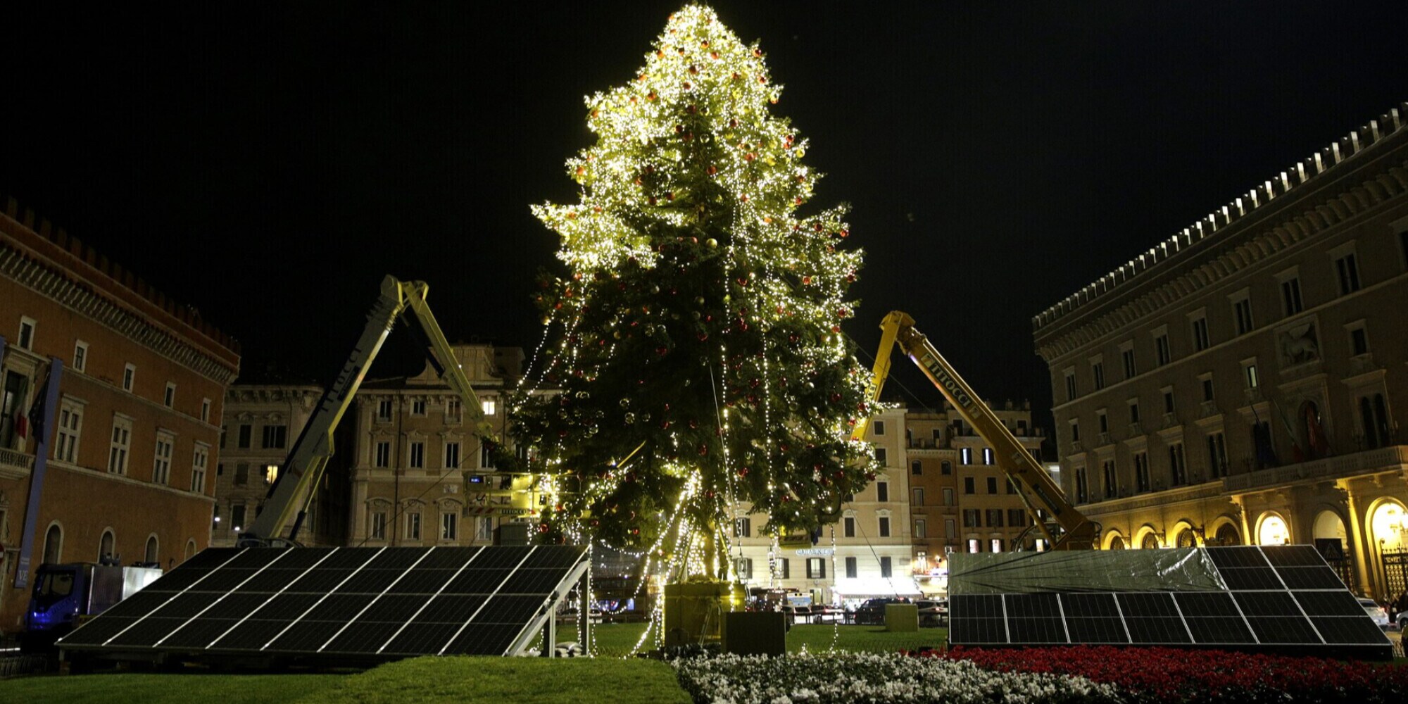 Spelacchio 2? L'albero di Natale a Roma fa di nuovo polemica