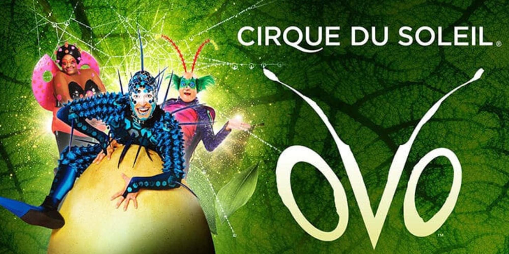 Cirque du Soleil: biglietti, prezzi e date per ogni città