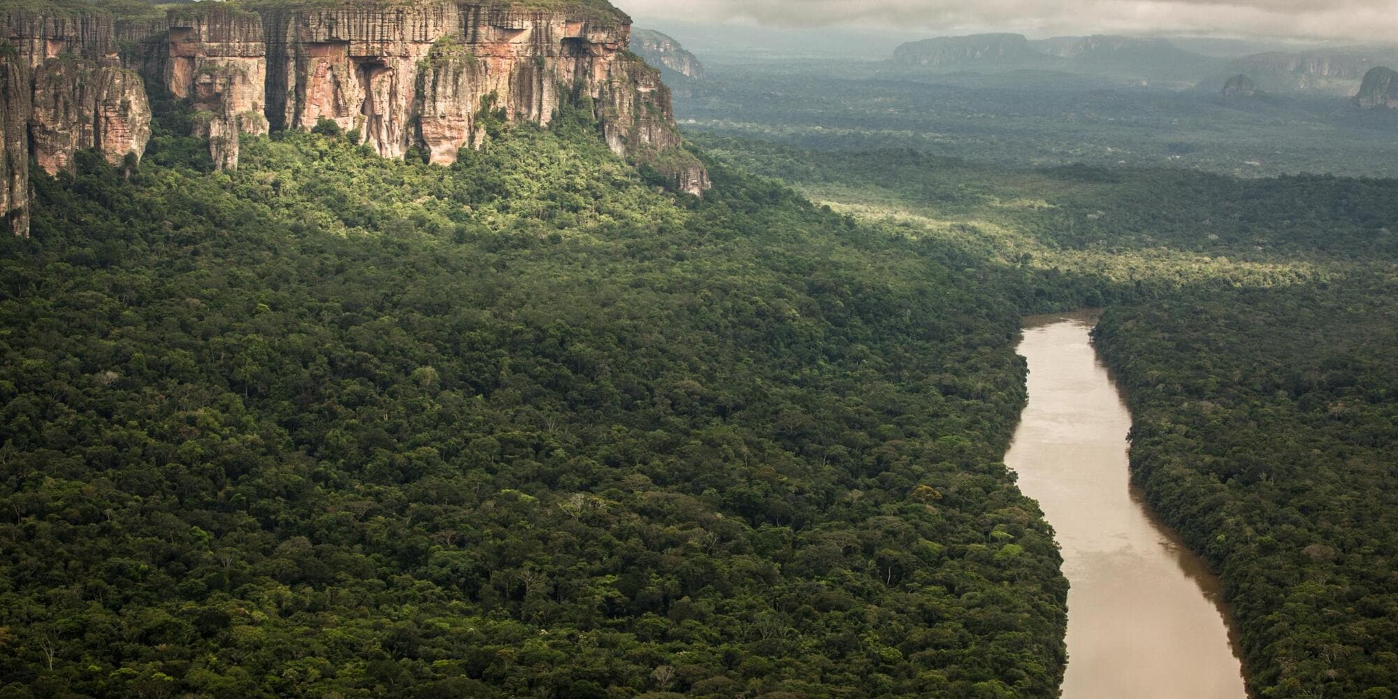 L'Amazzonia dallo spazio per la Giornata degli Alberi