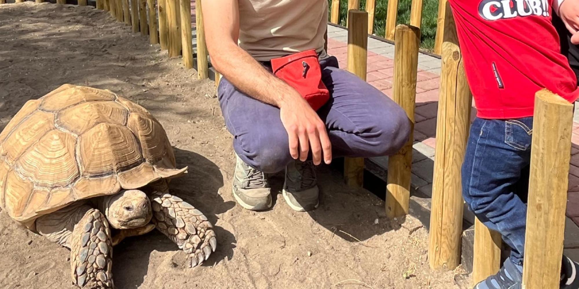 Oasi delle Testuggini, iniziativa speciale per salvare la specie più ...