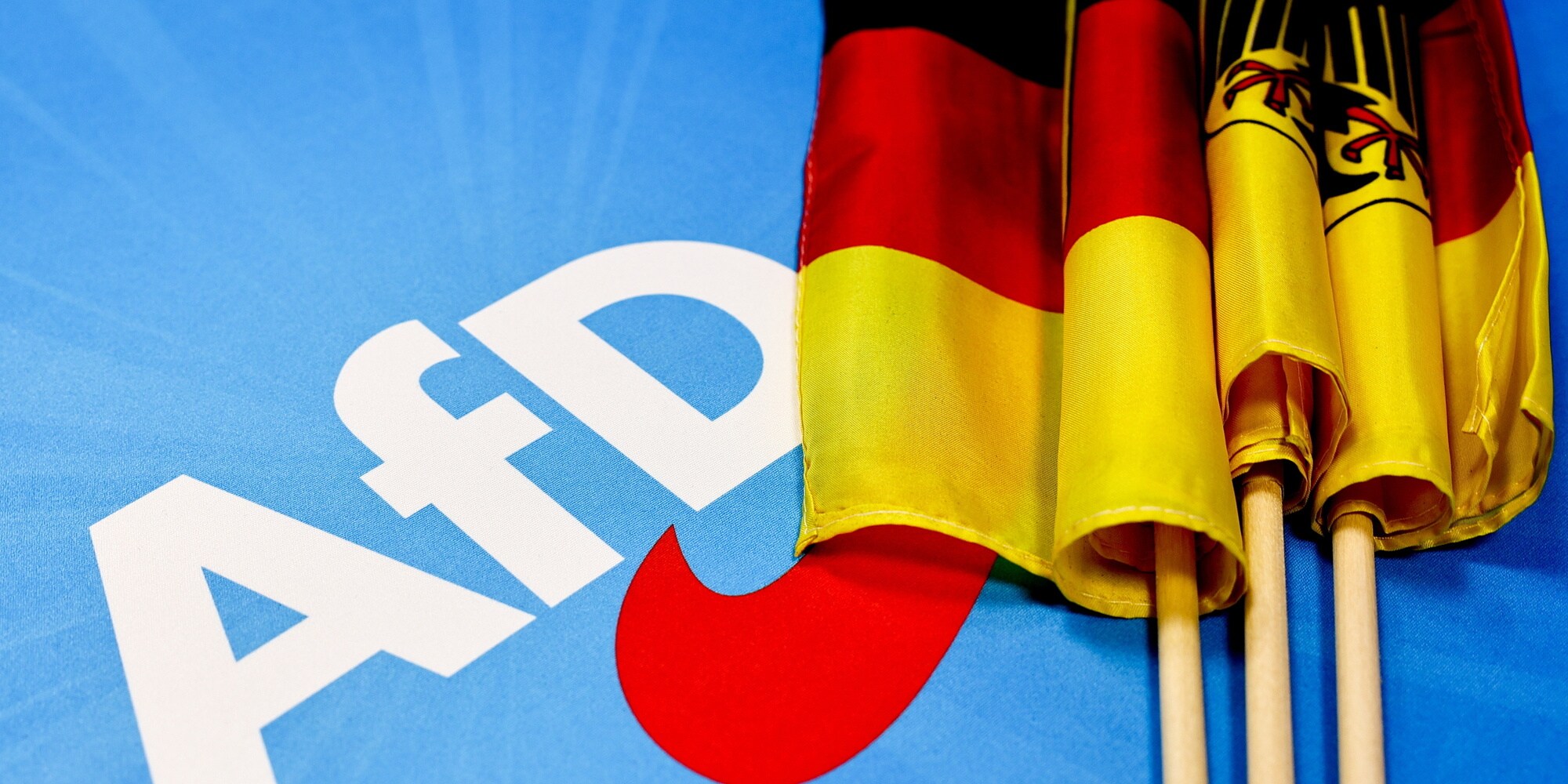 Proiezione, l'Afd primo partito nell'est della Germania