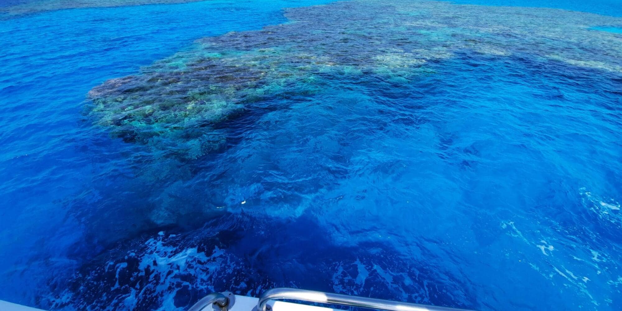 Peppino Fappani è il ferito da uno squalo nel Mar Rosso