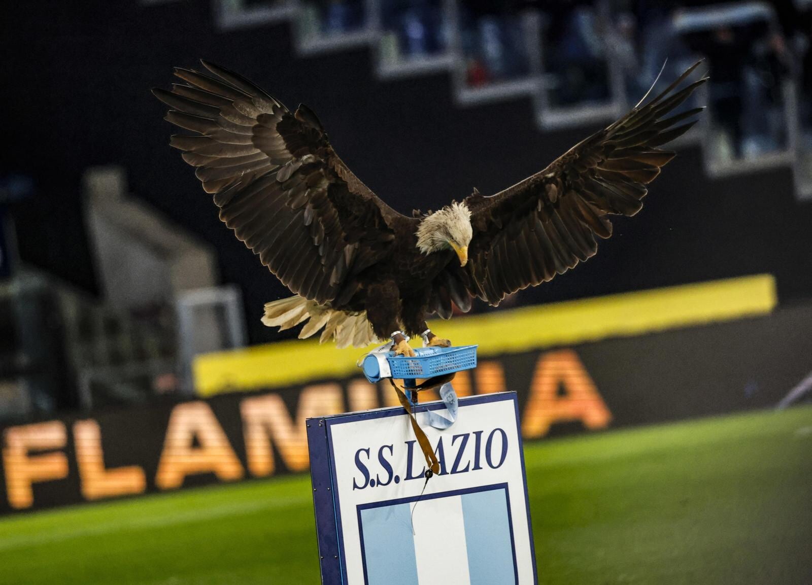 Lazio, debutta l'aquila Flaminia: primo volo all'Olimpico