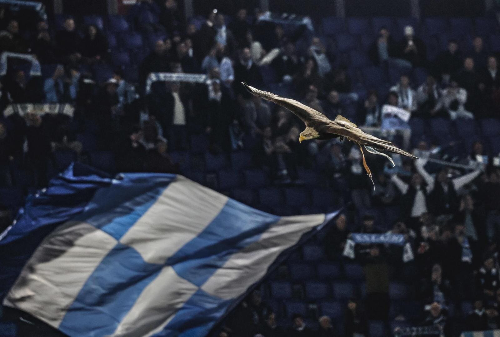Lazio, debutta l'aquila Flaminia: primo volo all'Olimpico