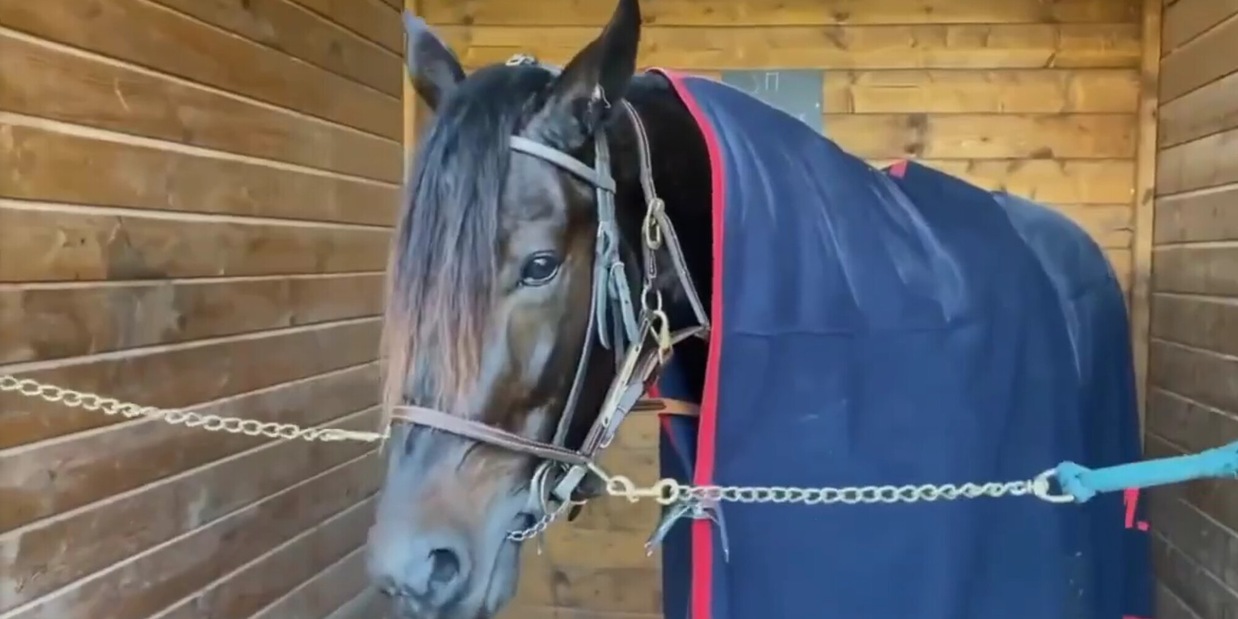 Un Abrivard per Zacon Gio