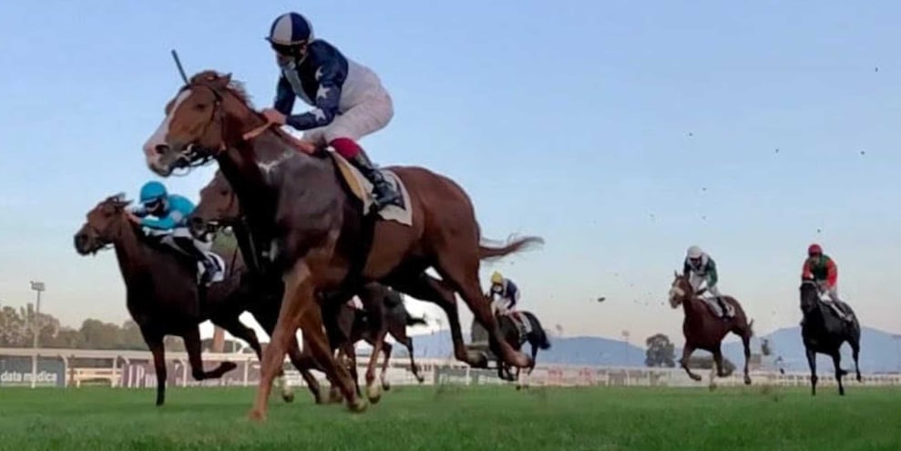 Estrosa, la cavalla di Max Allegri protagonista a Capannelle